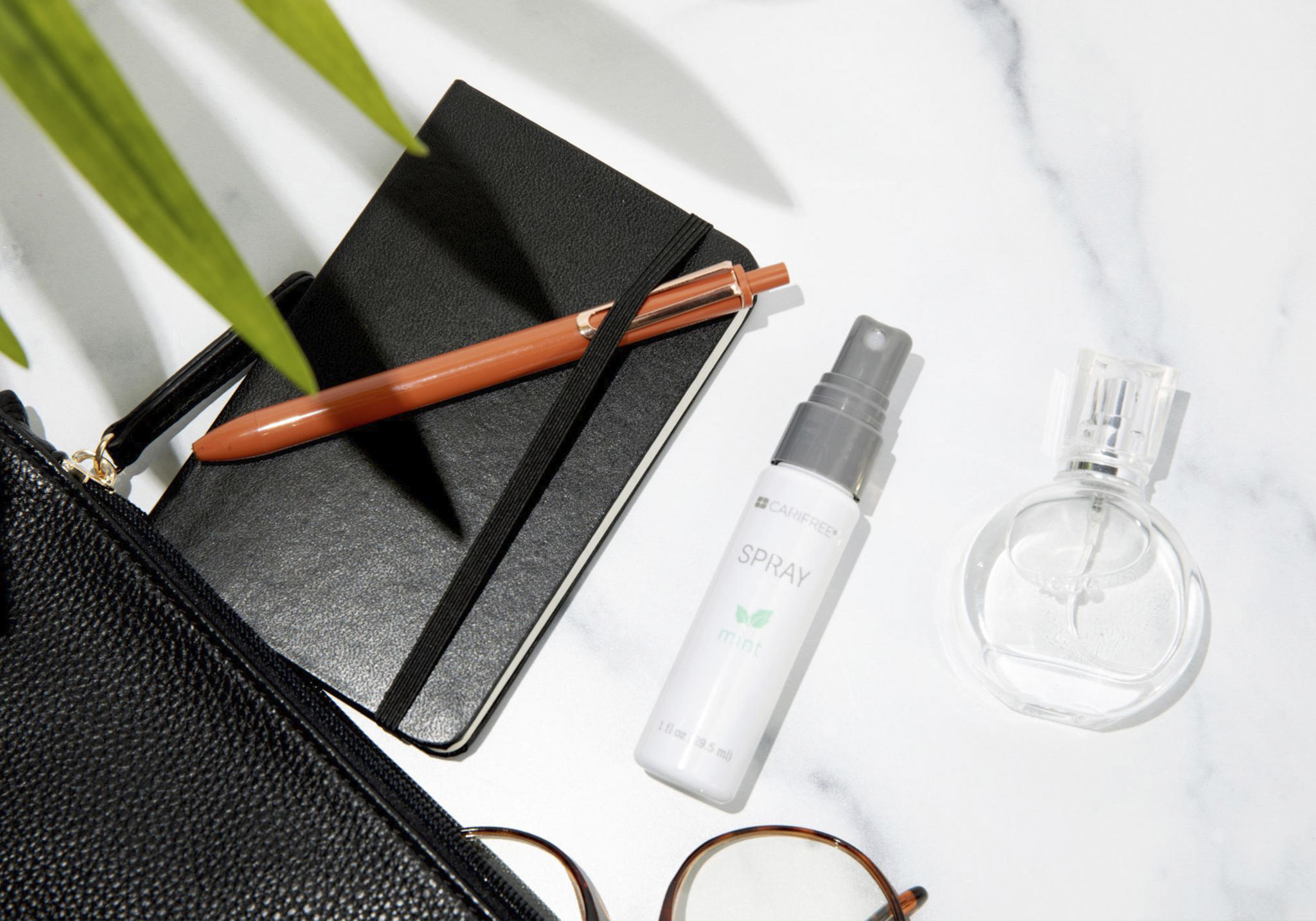 Try Our Oral Moisturizing Spray | CariFree